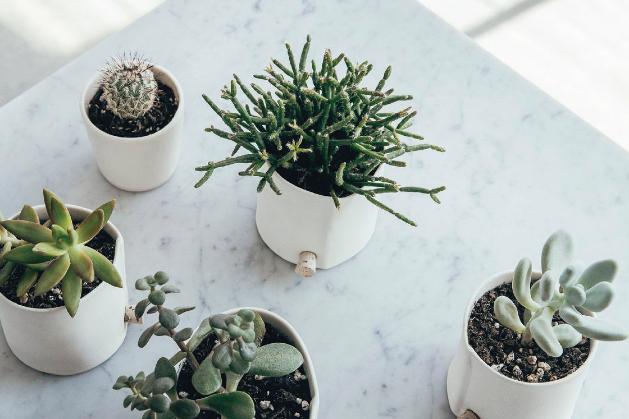 Handcrafted Ceramics & Classes Montreal– Atelier Make